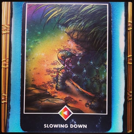 Osho Zen Card of the Day: Slowing Down - Jamie Ridler Studios