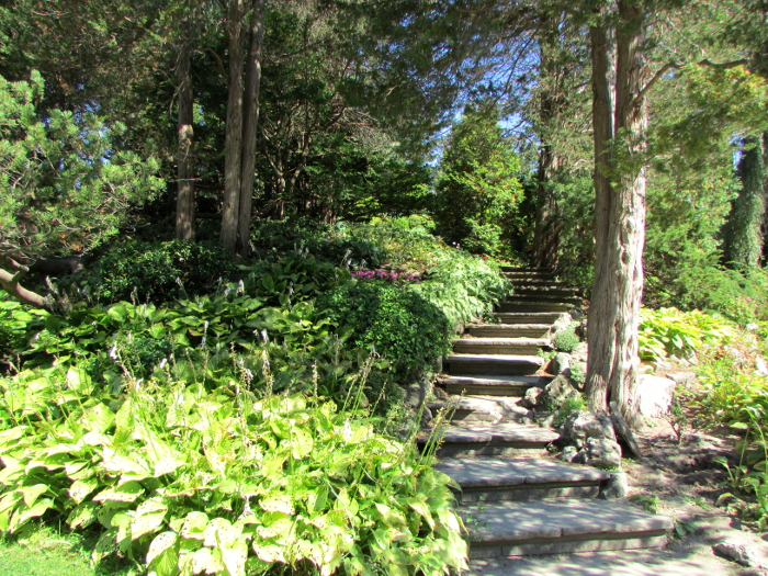 Toronto Botanical Gardens Pathway - Jamie Ridler Studios