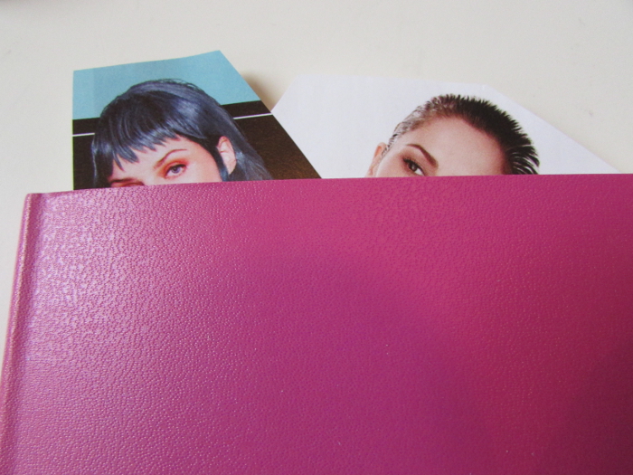 Face Journal - Jamie Ridler Studios