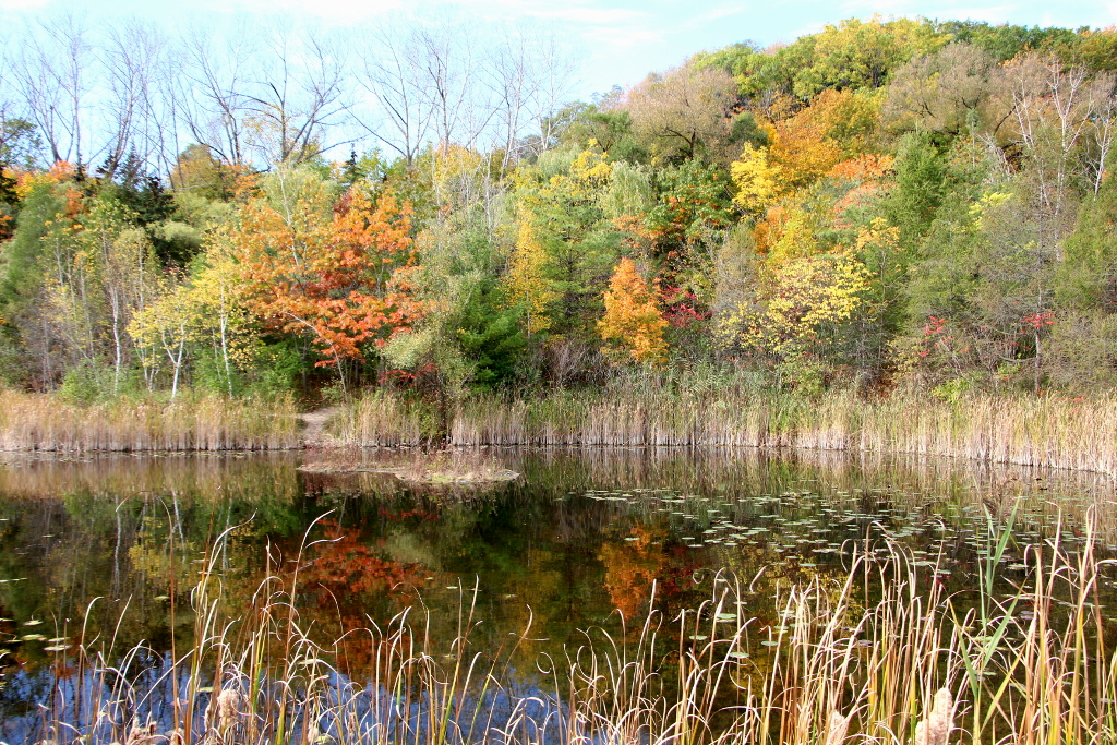 JRS BW Pond - Jamie Ridler Studios